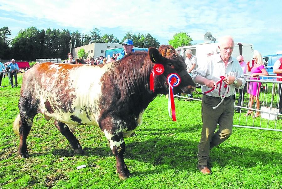 GALLERY: Brilliant day out for Mohill Show 2022 - Page 2 of 27 ...