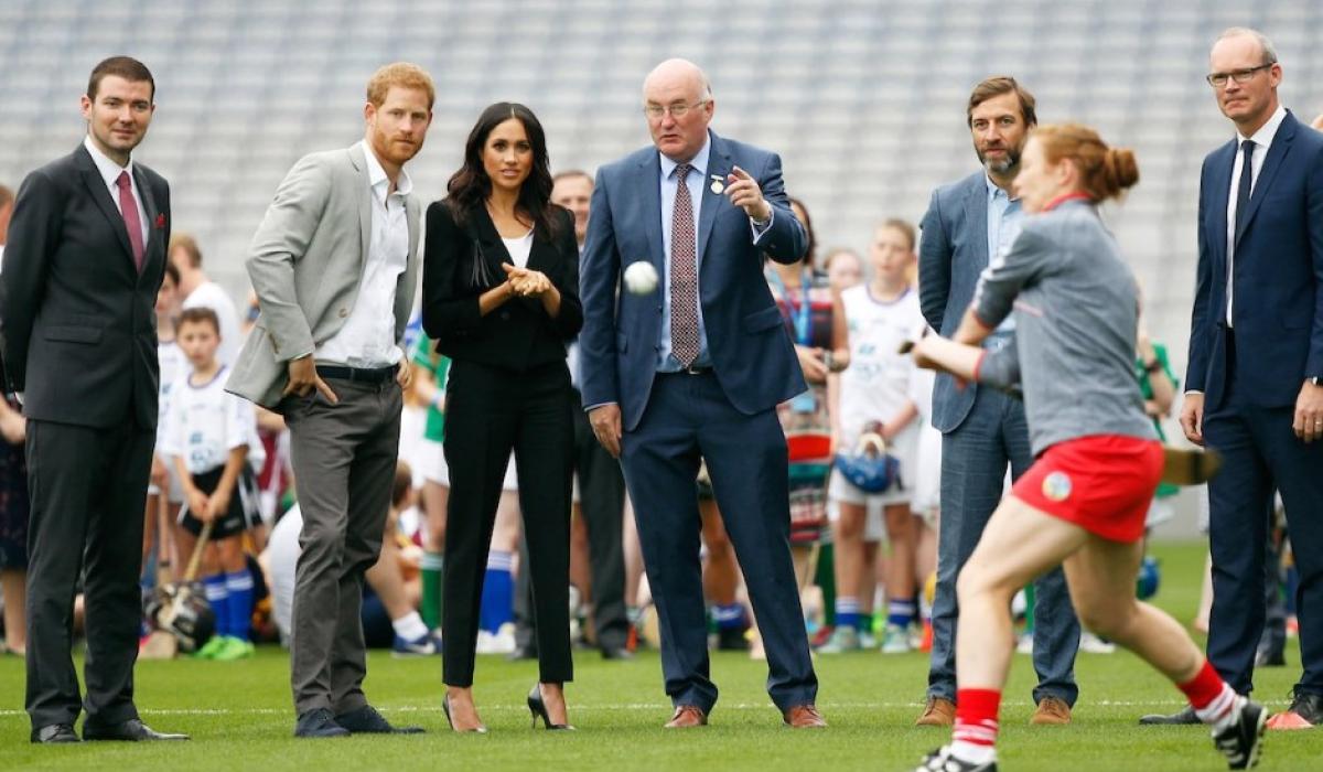 Watch | Leitrim's Colin Regan was on hand to help guide Duke and ...