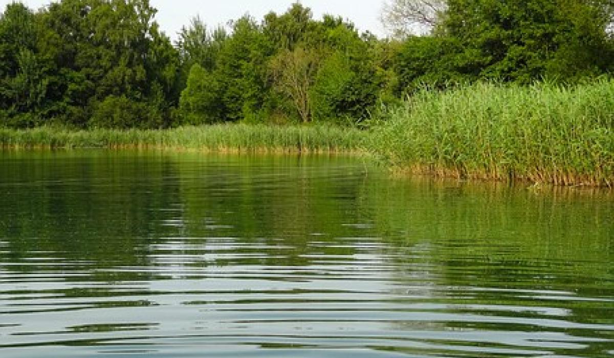 Grants for communities to improve local waters - Leitrim Live