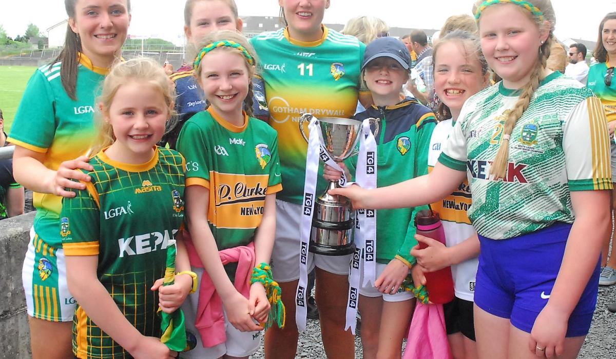 Participation & finance highlighted as key issues for Leitrim LGFA ...