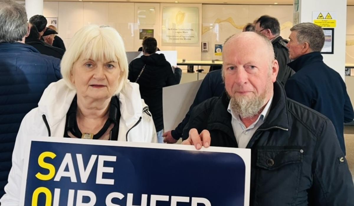 Support package urgently needed for sheep sector- Harkin - Leitrim Live