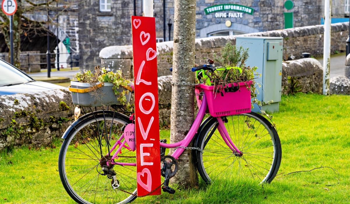 Popular bike installations to return to Carrick-on-Shannon - Leitrim Live