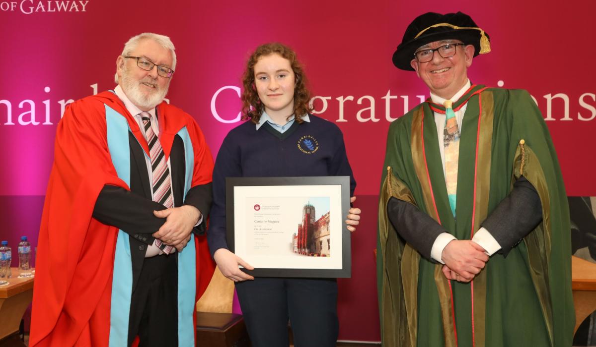 Junior Certificate students from Leitrim presented with Special Irish ...