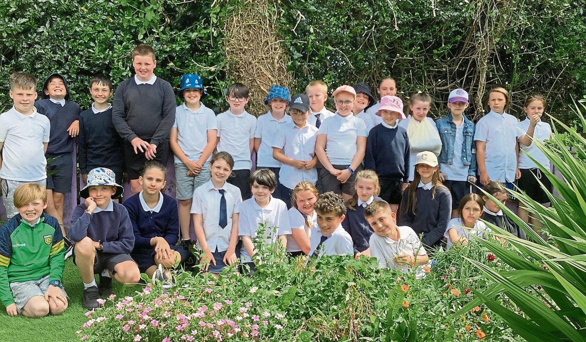 IN PICTURES: Four Masters School host vibrant Garden Party - Leitrim Live