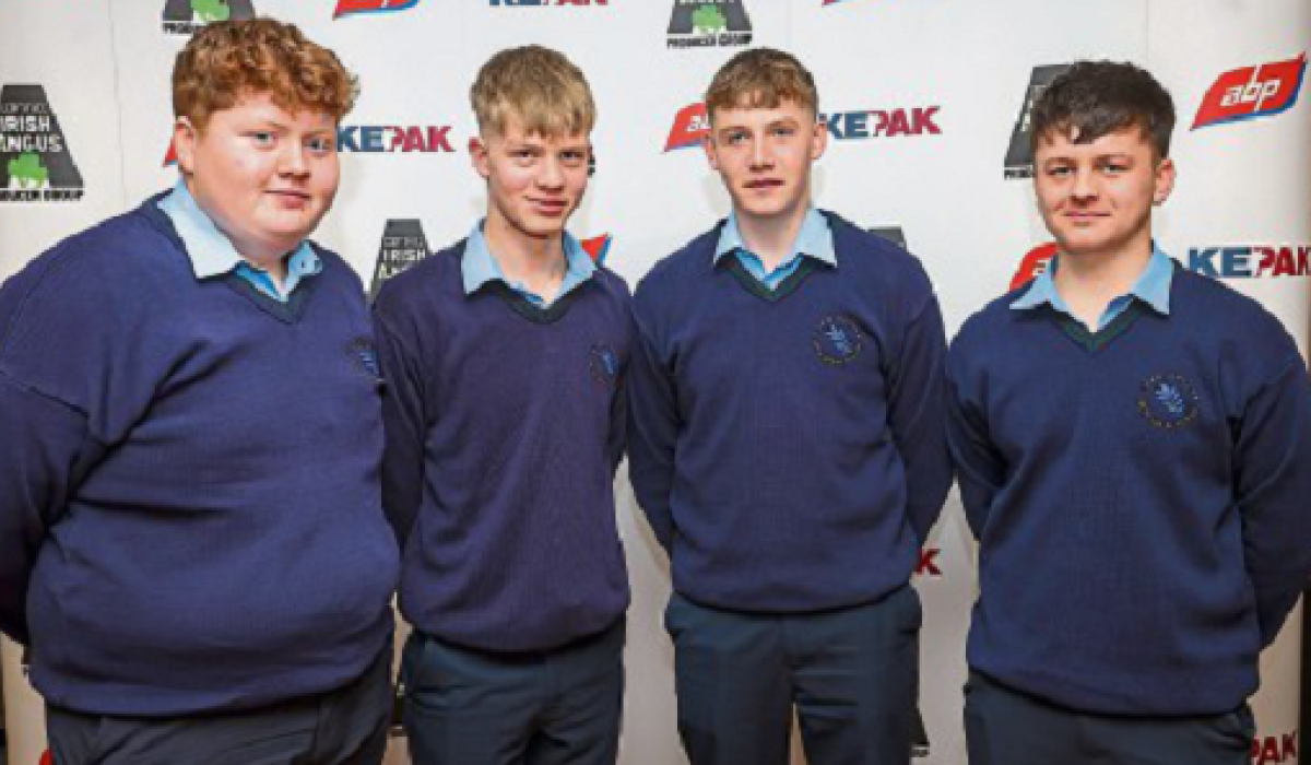 Carrigallen school exhibits in Croke Park for prestigious Certified ...