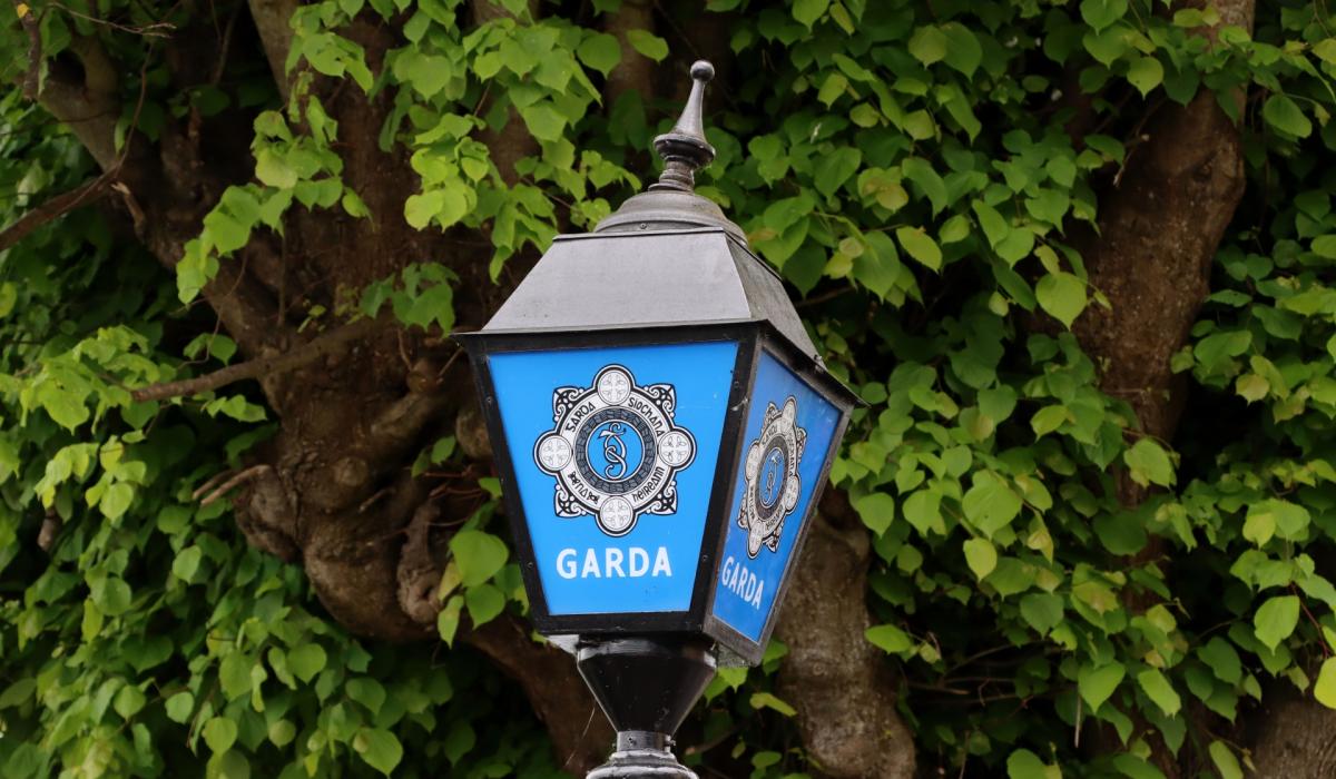 Search for missing Dublin teen stood down amid garda update - Leitrim Live