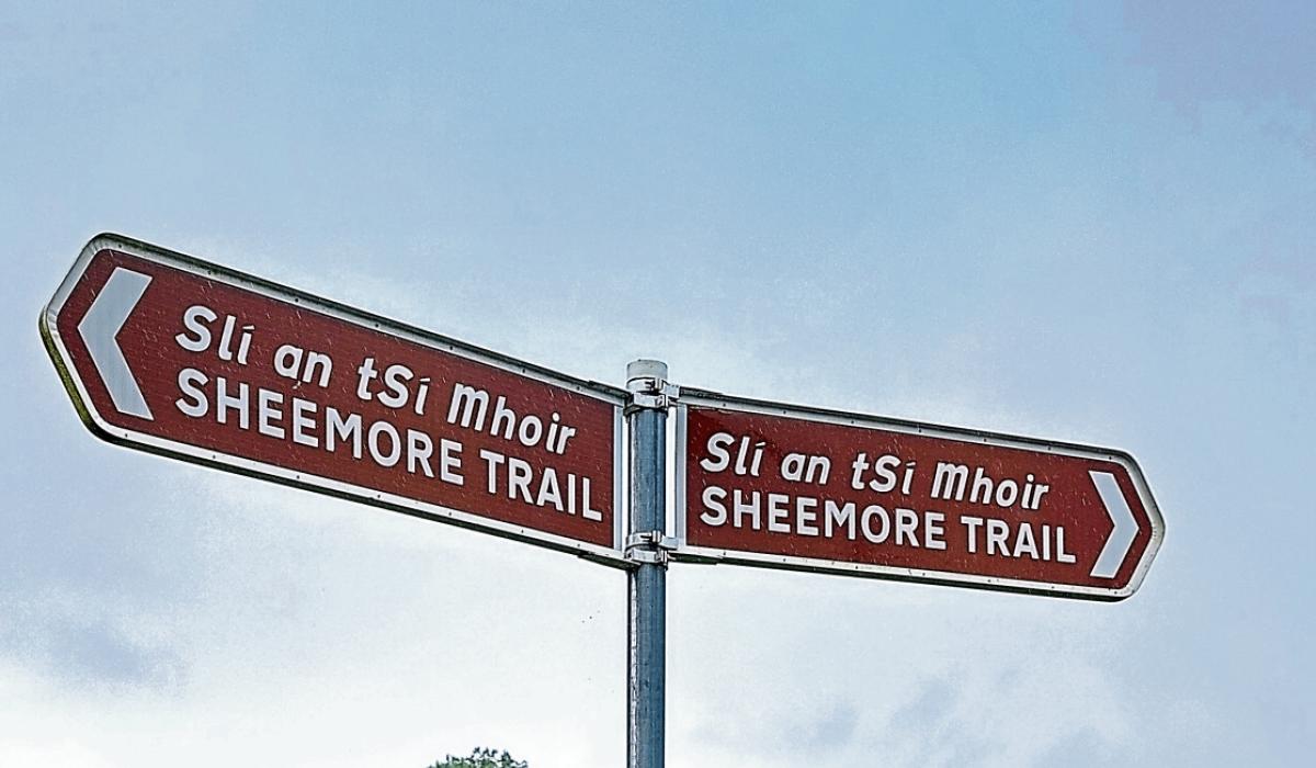 Cllr Paddy Farrell fights hard for local improvements in the Carrick-on ...