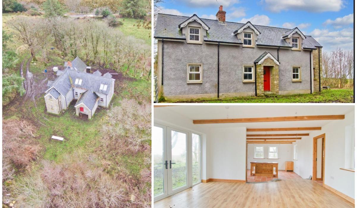 PICTURES: Huge Leitrim house in need of finishing touches could sell ...