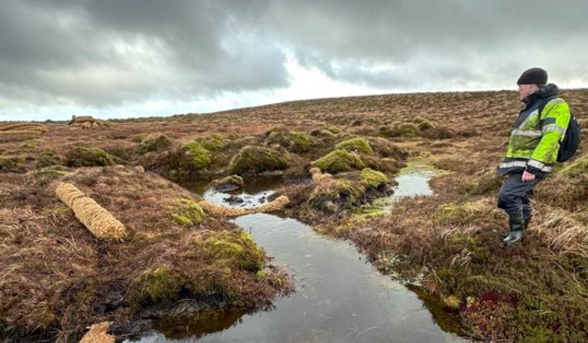 Farmers and researchers give historic bogs a new lease of life in ...
