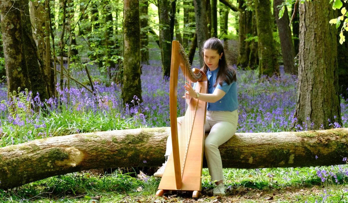 Following the Legacy of O’Carolan at the 45th Harp Festival - Leitrim Live