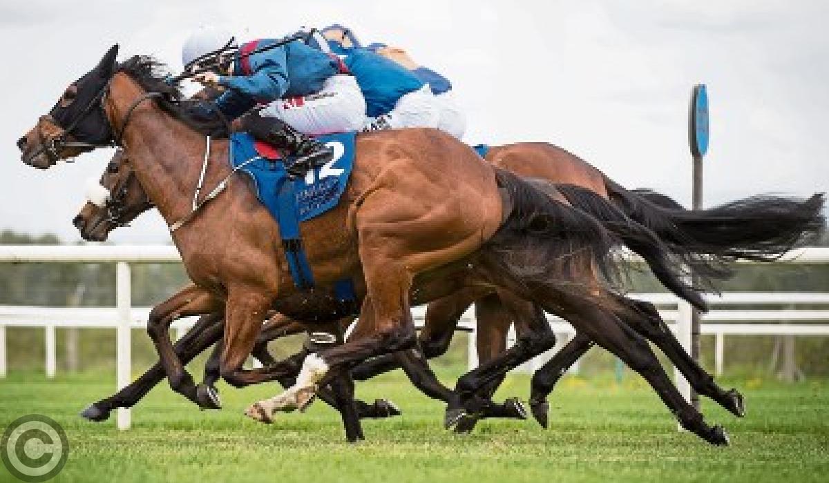 Roscommon Races open season next Monday May 13 - Leitrim Live