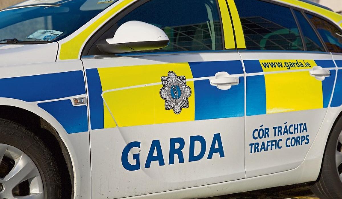 Work progressing on Carrick-on-Shannon Garda training facility proposal ...