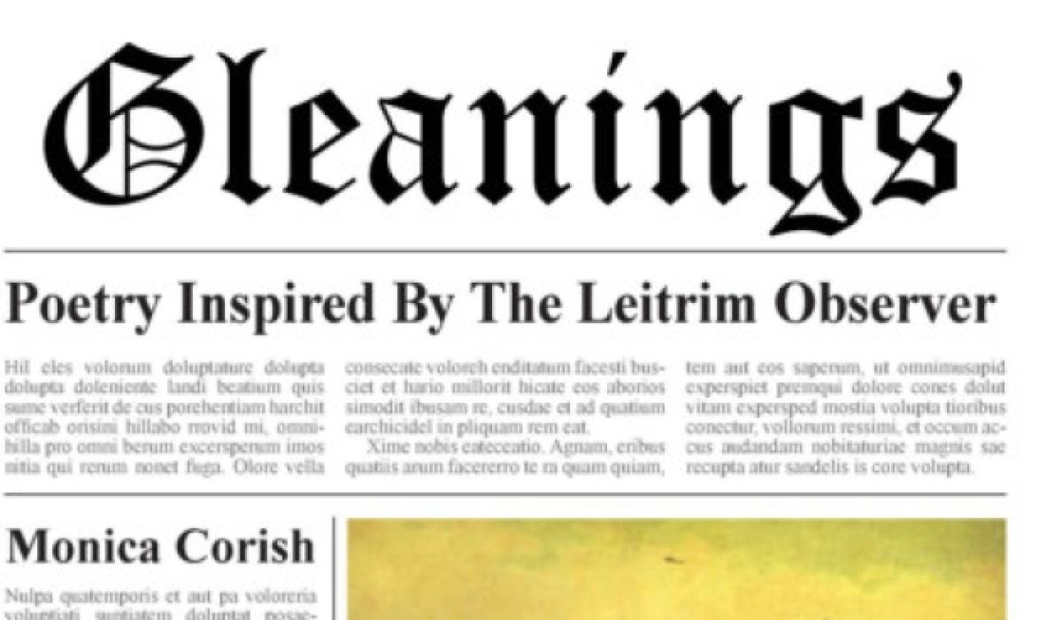 Launch of Observer inspired poems - Leitrim Live