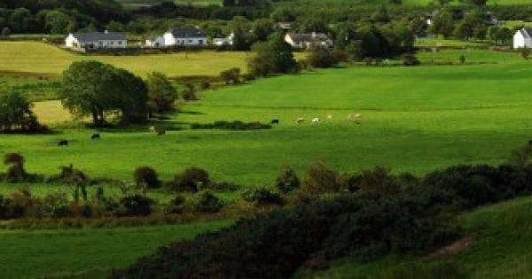 Irish agricultural land prices look to be rebounding - Leitrim Observer