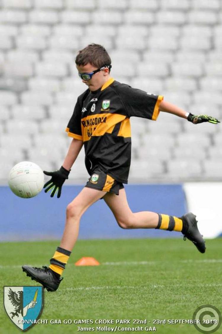 Bornacoola youngsters have great time at GAA Headquarters - GALLERY ...