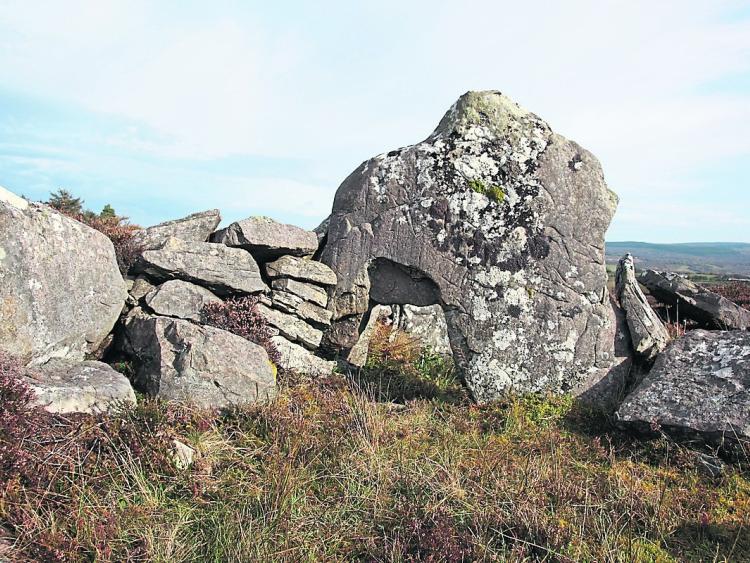 Learn about Living in a Leitrim Landscape - Leitrim Observer