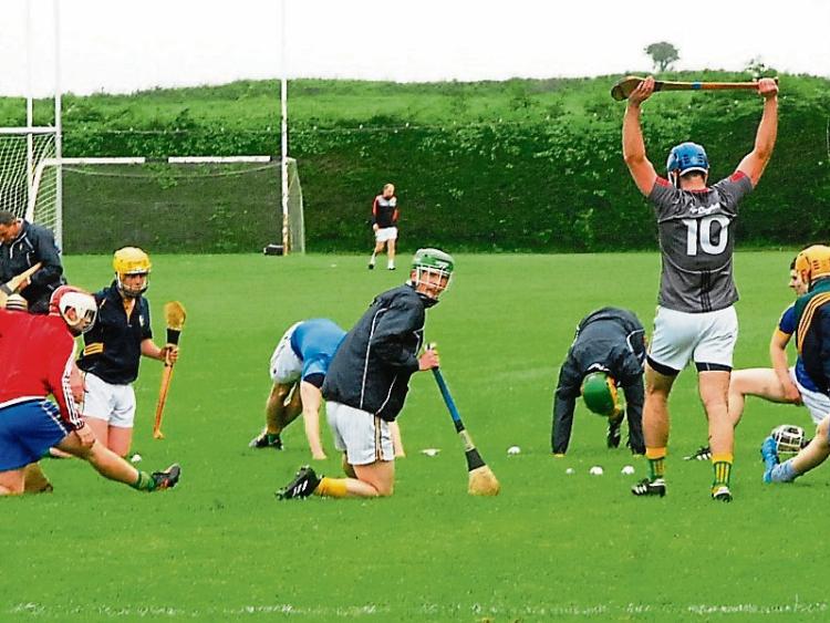 Leitrim hurlers aiming to create history - Leitrim Observer