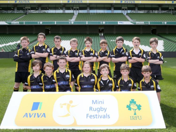 Carrick RFC young stars enjoy trip to the Aviva - Leitrim Observer
