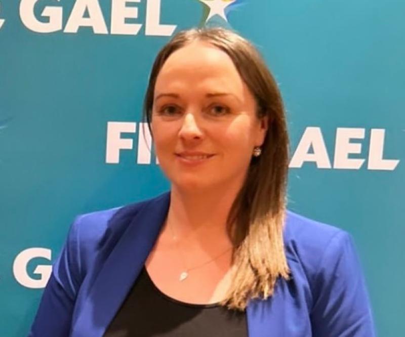 Arigna woman Dympna Daly Finn selected to run for Fine Gael - Leitrim Live