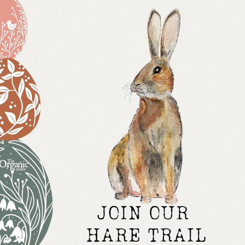 Easter hare trail at the Organic Centre, Rossinver - Leitrim Live
