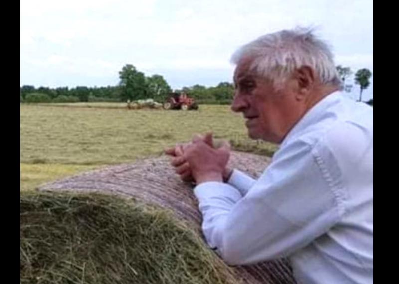 Family of Liam Farrell to meet Garda Commissioner over death ...