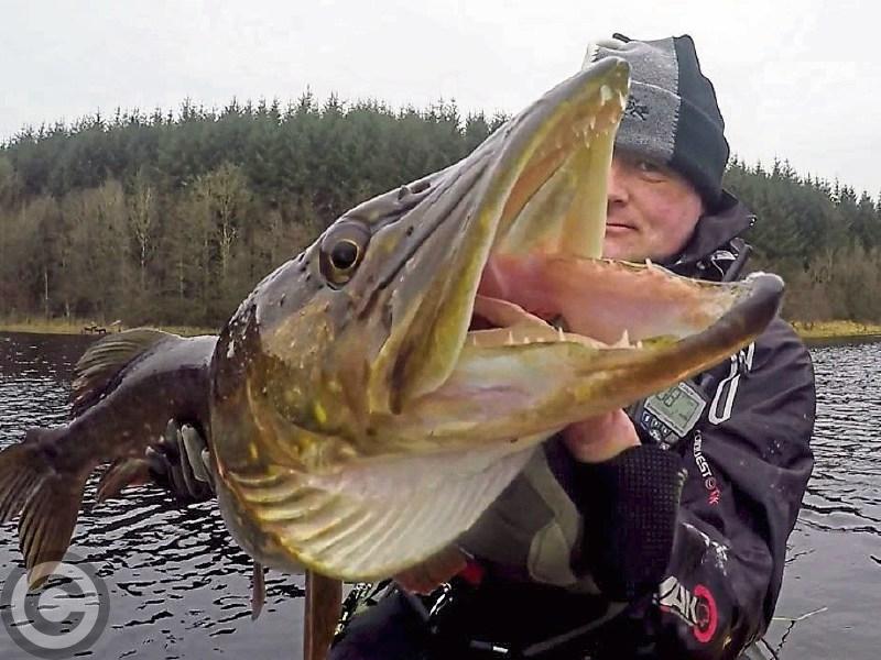 New Research suggests Pike have changed their diet - Leitrim Live