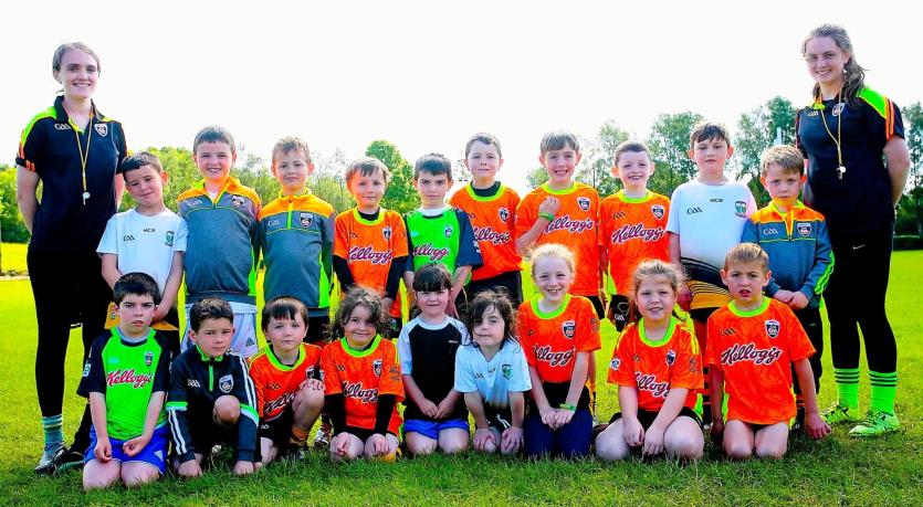 Bornacoola brings Kellogg's Leitrim GAA Cul Camp year to a successful ...