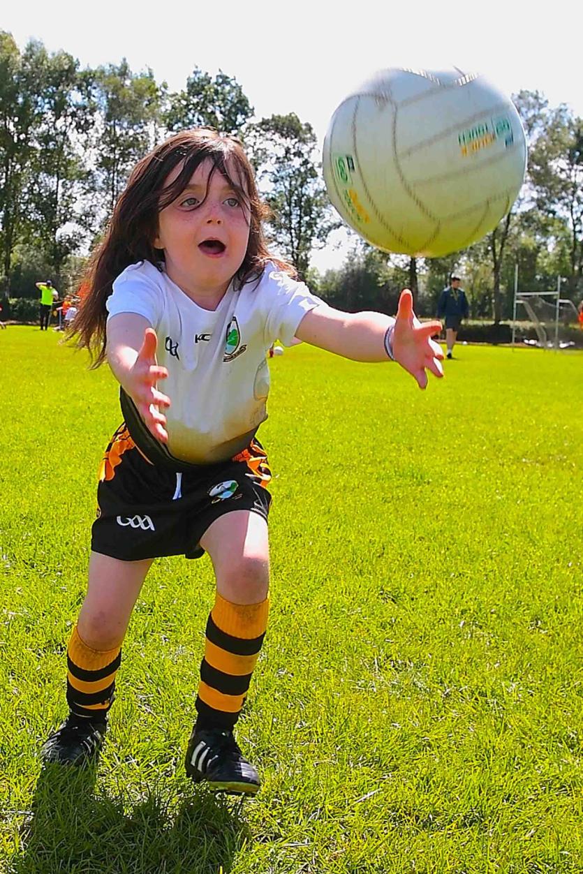 Bornacoola brings Kellogg's Leitrim GAA Cul Camp year to a successful ...