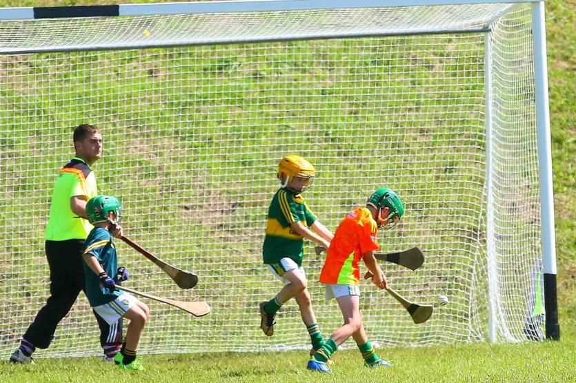 Bornacoola brings Kellogg's Leitrim GAA Cul Camp year to a successful ...