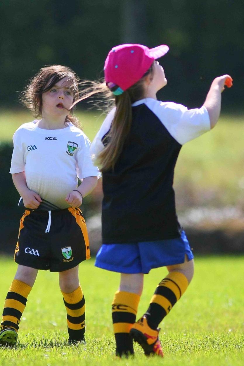 Bornacoola brings Kellogg's Leitrim GAA Cul Camp year to a successful ...