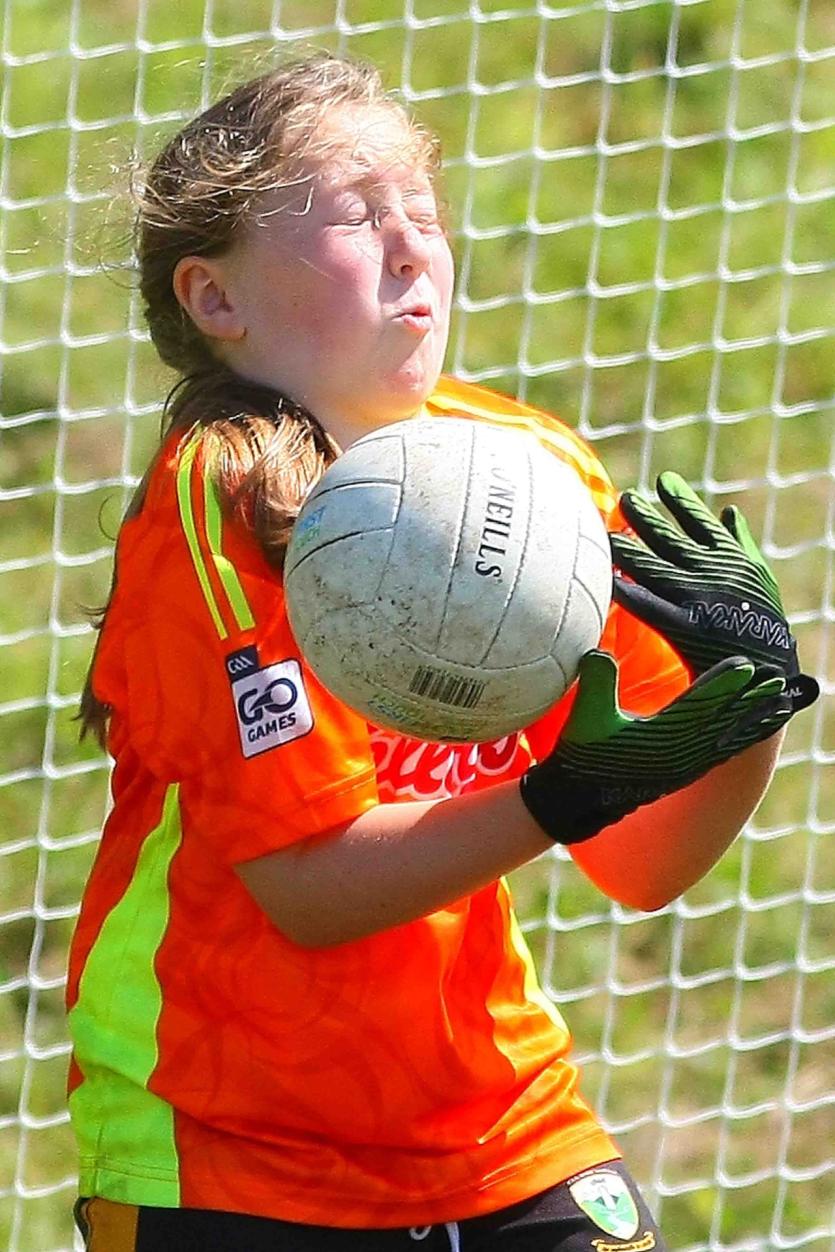 Bornacoola brings Kellogg's Leitrim GAA Cul Camp year to a successful ...