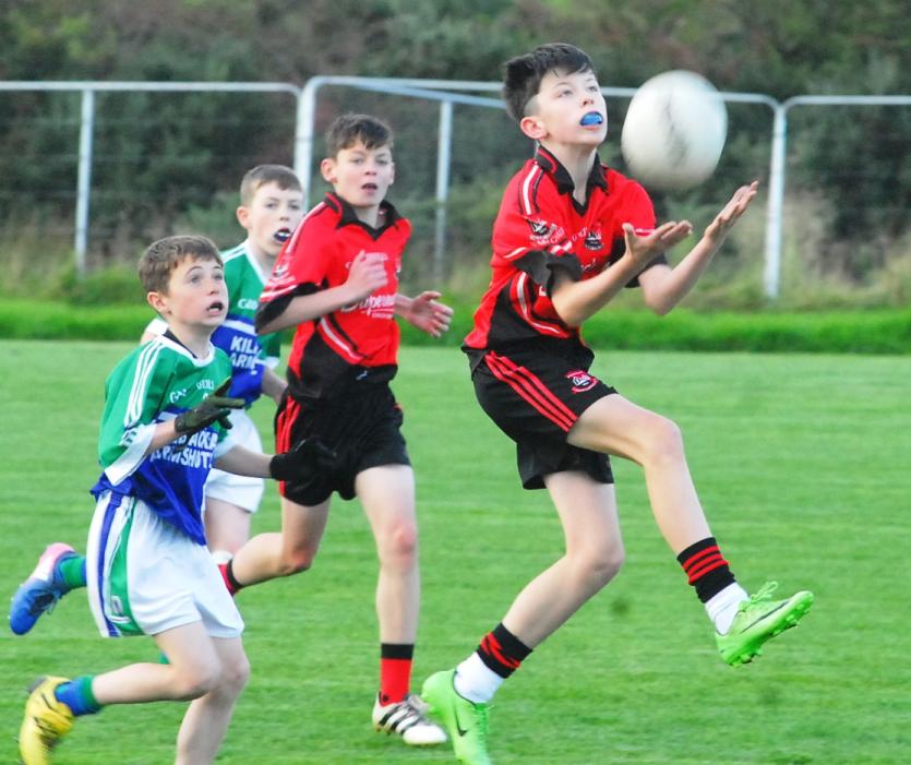 Fenagh St. Caillin's power to U13 Championship crown - GALLERY - Photo ...