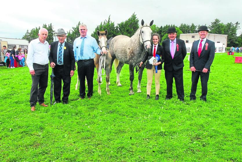 Gallery | 91st Mohill Agricultural Show a huge success - Photo 1 of 16 ...