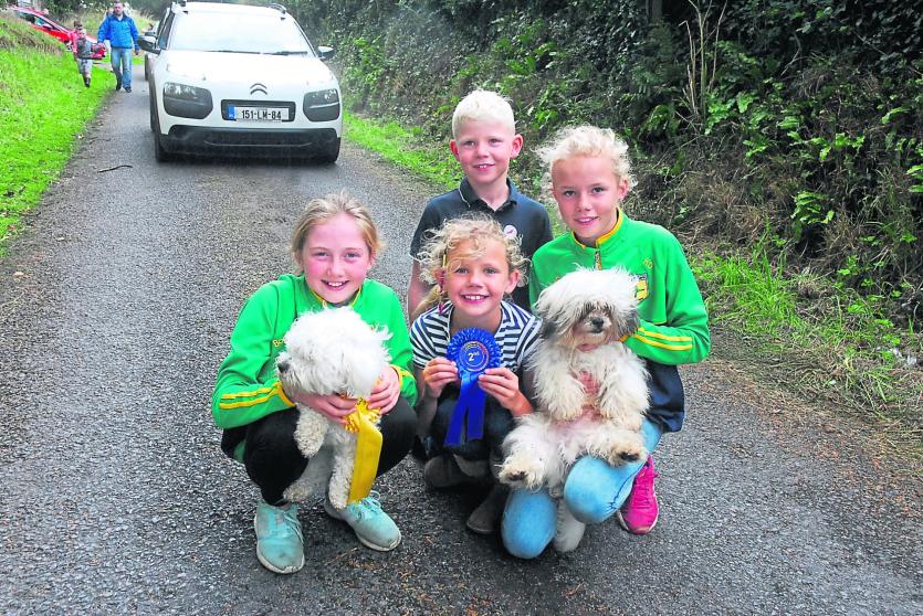 Gallery | 91st Mohill Agricultural Show a huge success - Photo 1 of 16 ...