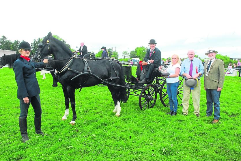 Gallery | 91st Mohill Agricultural Show a huge success - Photo 1 of 16 ...