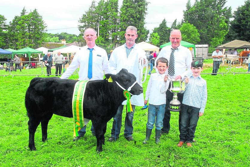 Gallery | 91st Mohill Agricultural Show a huge success - Photo 1 of 16 ...