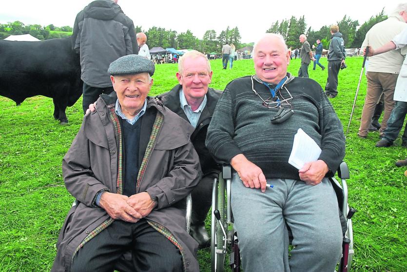 Gallery | 91st Mohill Agricultural Show a huge success - Photo 1 of 16 ...