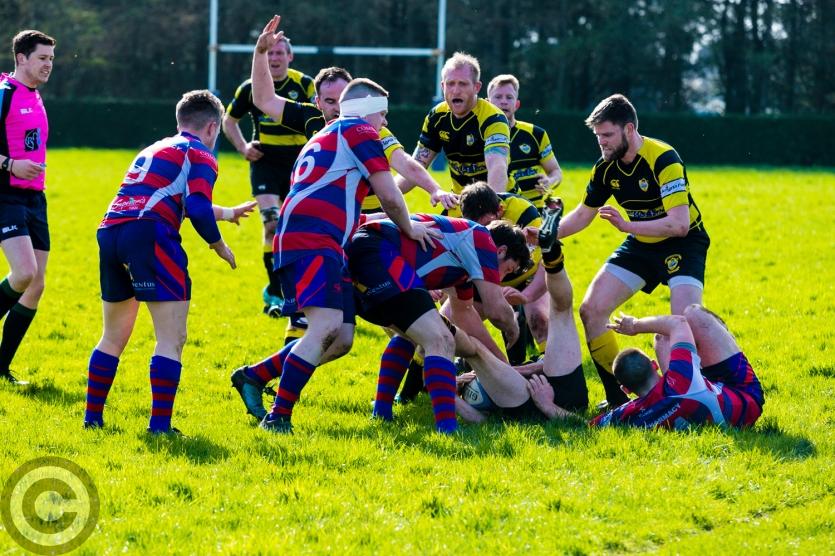 A historic breakthrough for Carrick Rugby - GALLERY - Photo 1 of 20 ...