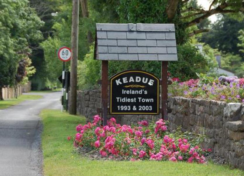 Keadue to represent Ireland in Entente Florale 2020 - Leitrim Observer