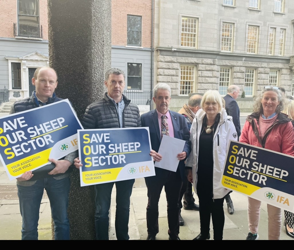 Support package urgently needed for sheep sector- Harkin - Leitrim Live