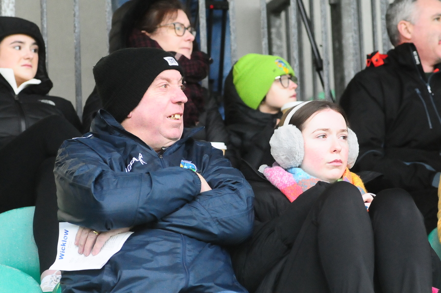 Fans brave Storm Isha to cheer on Leitrim victory over Wicklow in Ballinamore - GALLERY - Page ...